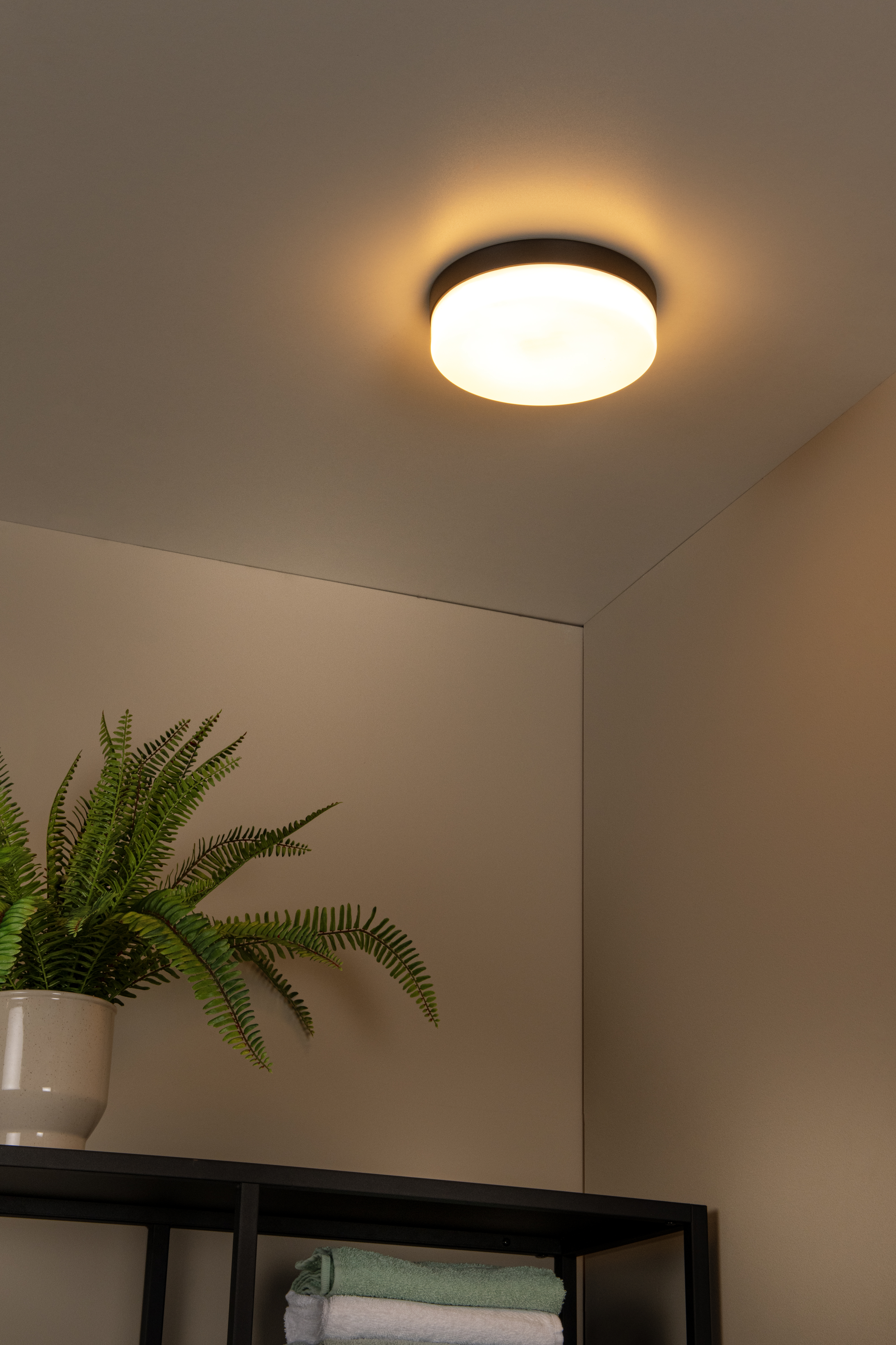 Lucide BISKIT - Flush ceiling light Bathroom - Ø 28 cm - LED - 1x18W ...