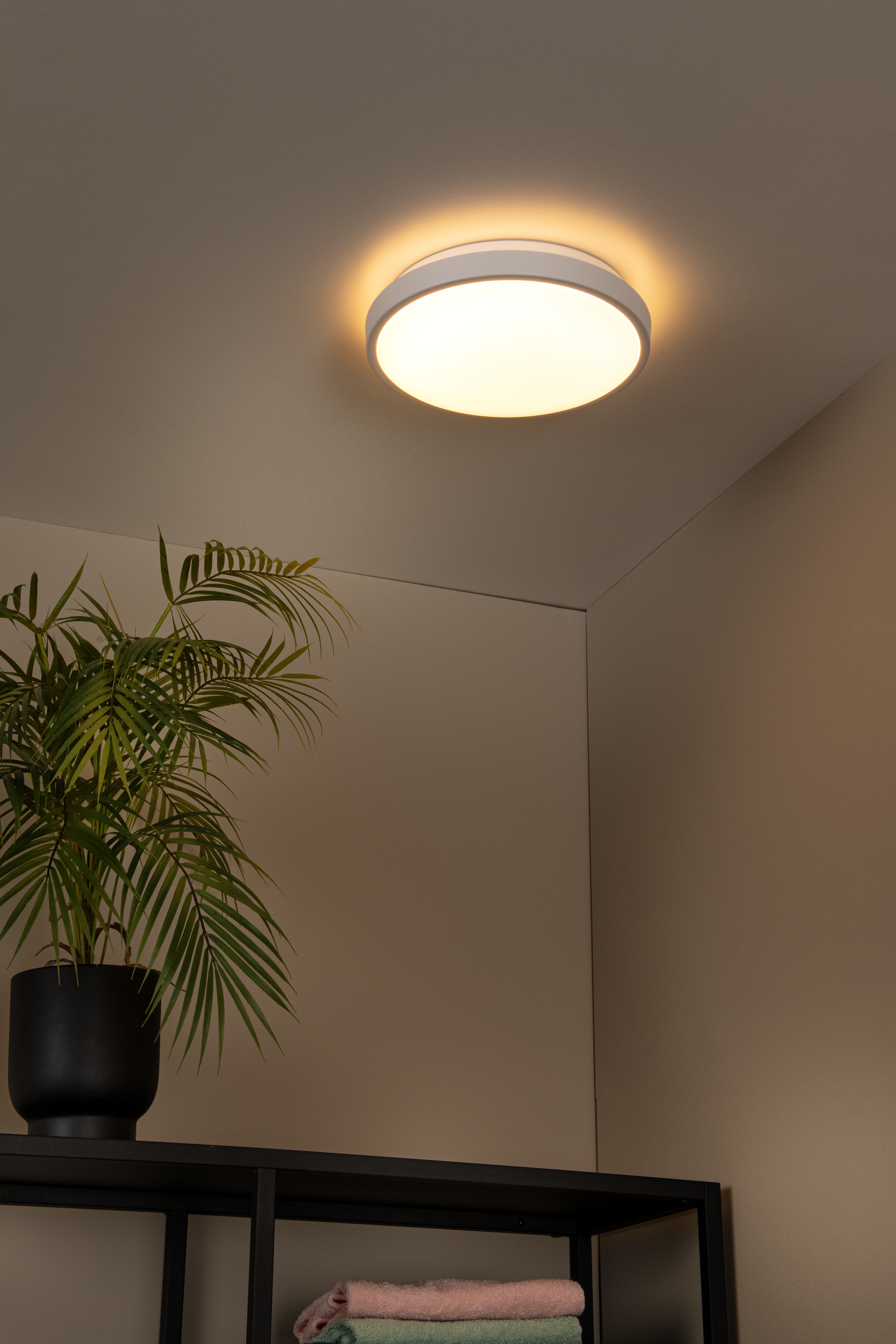 Lucide DASHER - Flush ceiling light Bathroom - Ø 29,3 cm - LED - 1x12W ...