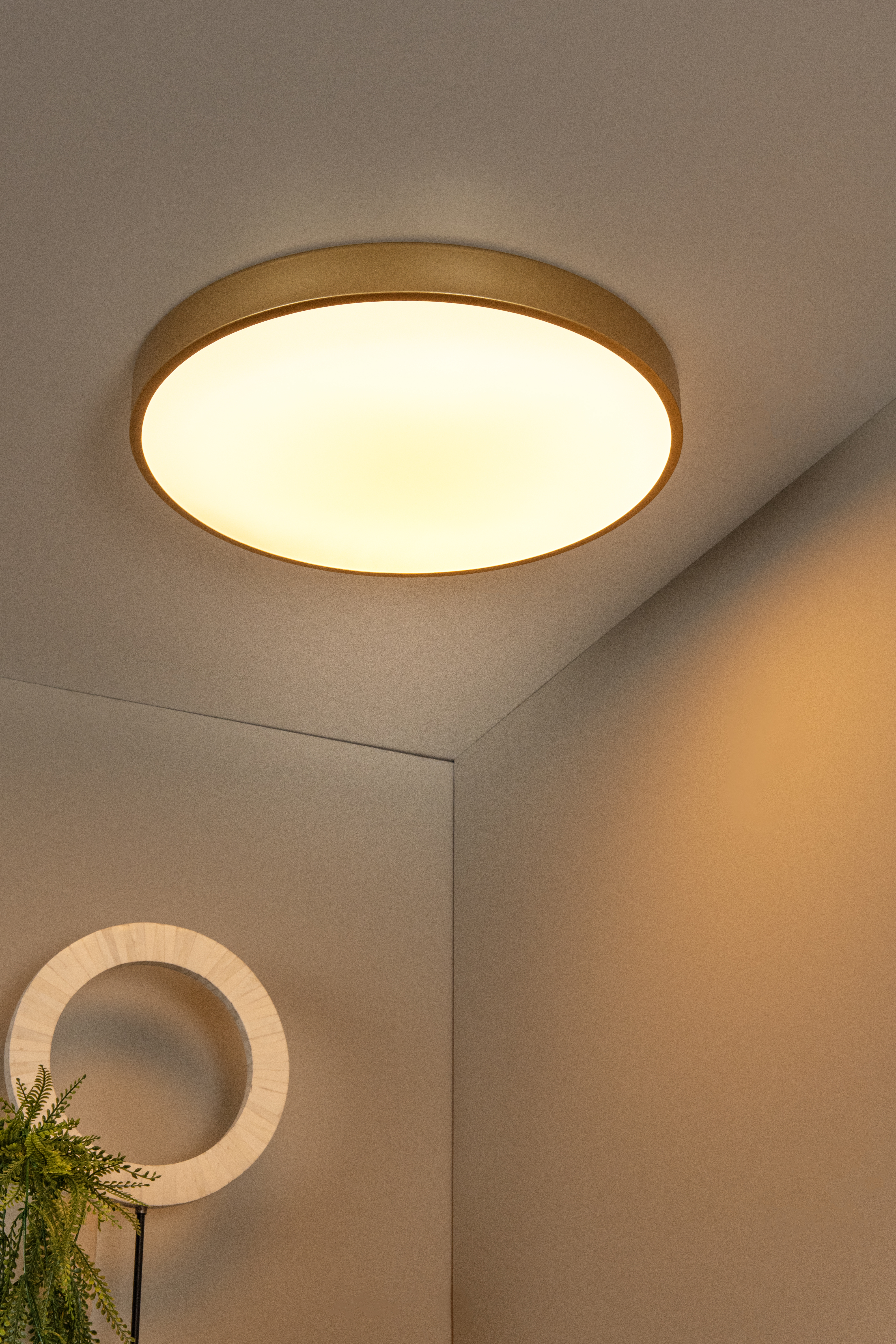 Lucide UNAR - Flush ceiling light - Ø 49,5 cm- LED 3 StepDim - 1x36W ...
