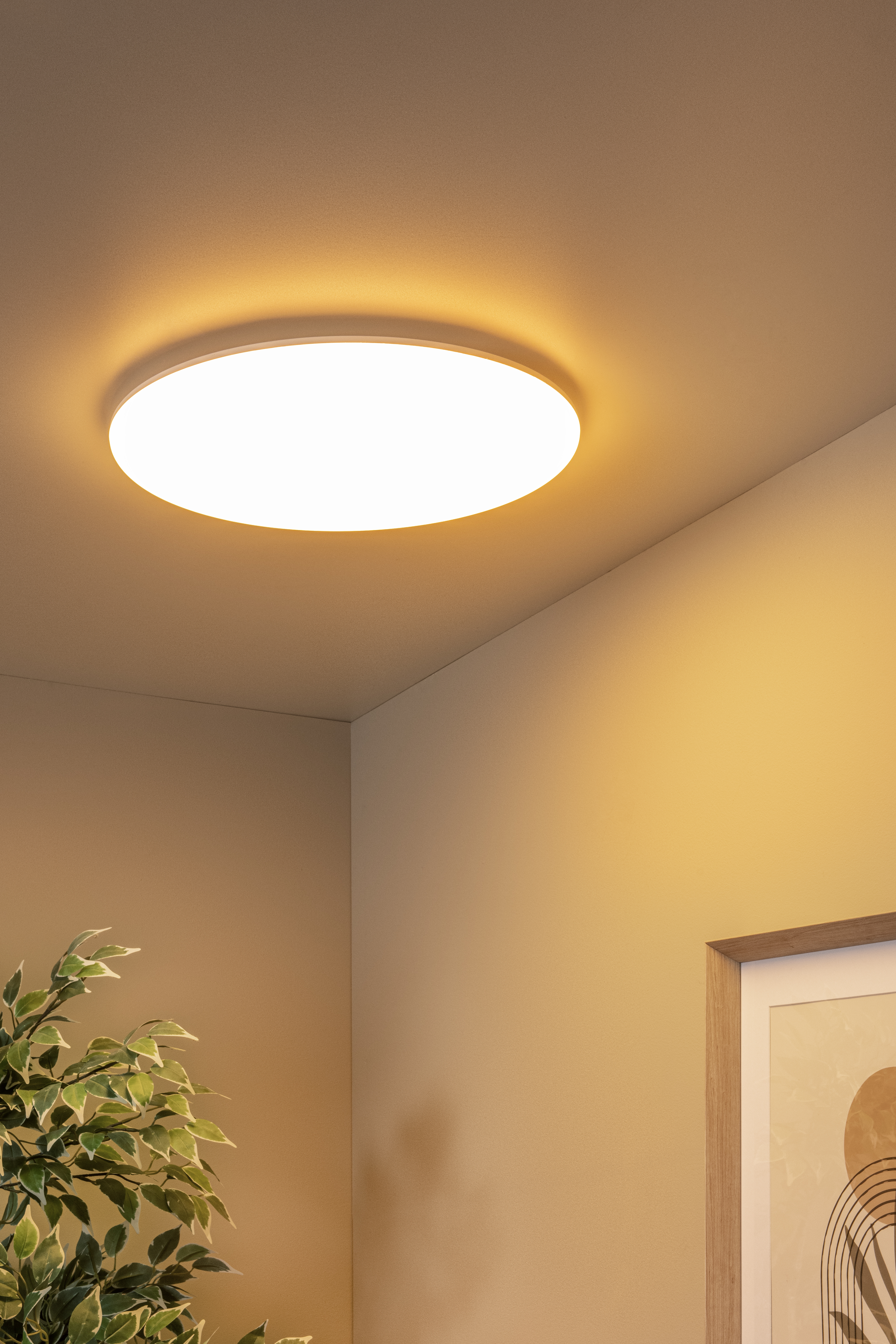 Lucide OLSON - Flush ceiling light Bathroom - Ø 45 cm - LED - CCT ...